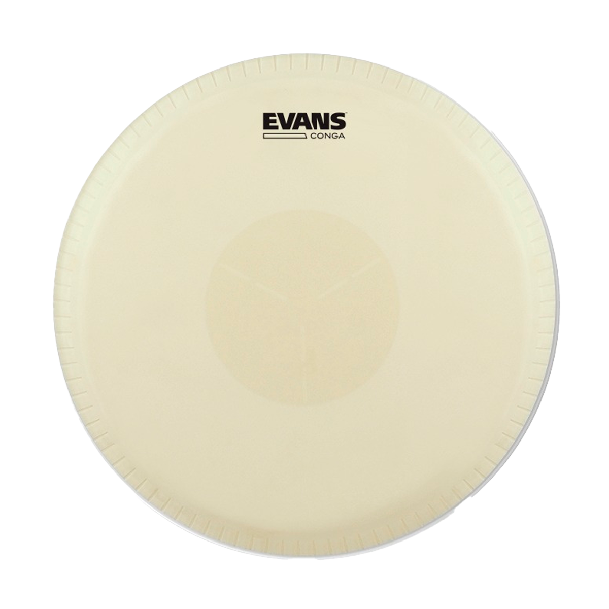 Parche para Conga EC1100 | EVANS