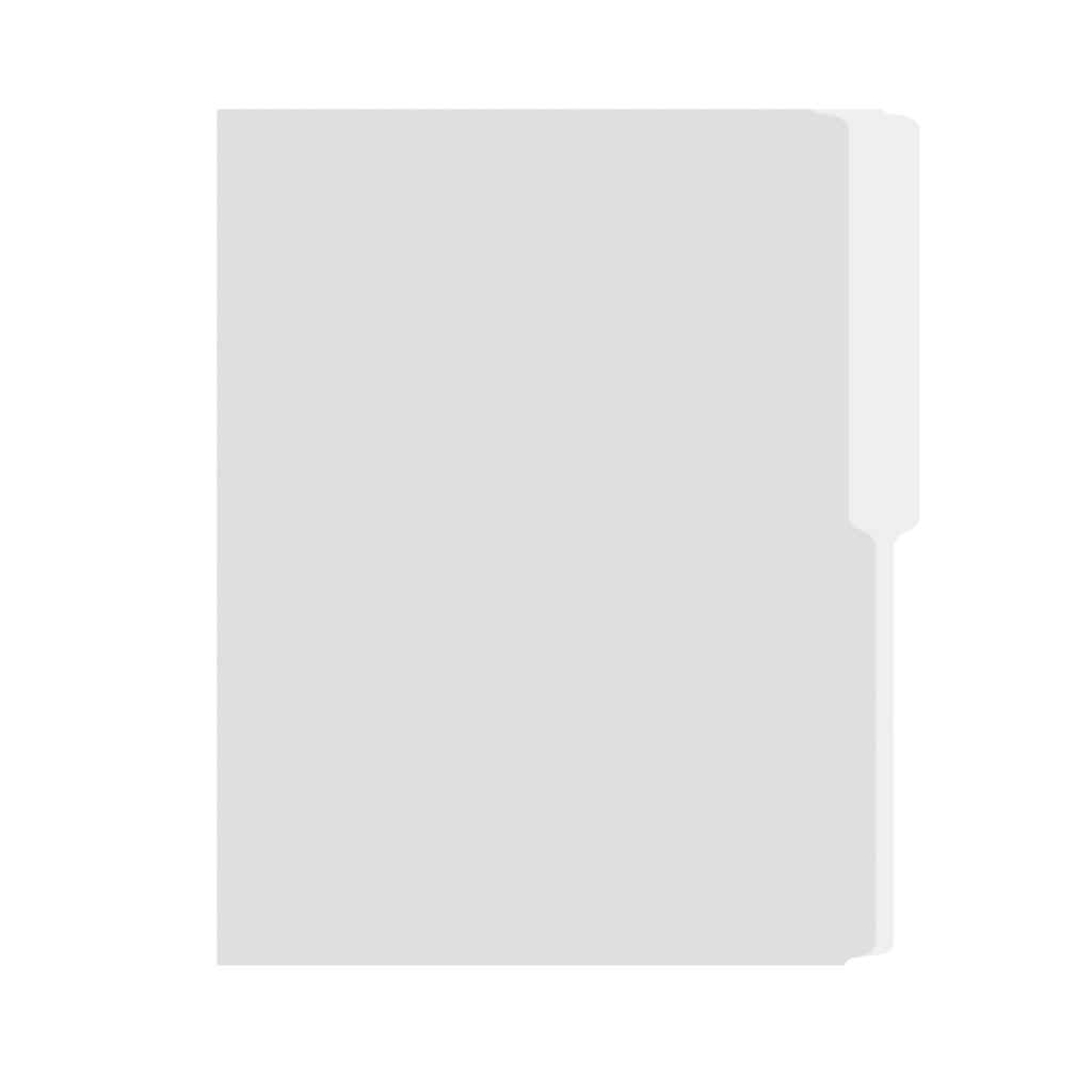 Folder Flashfile Carta Blanco (5X100)