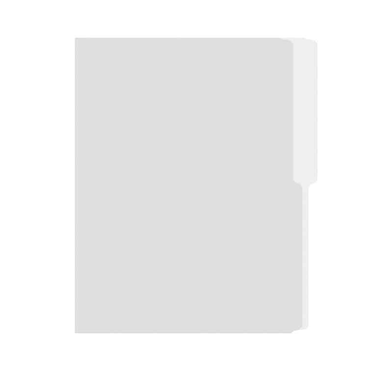 Folder Flashfile Carta Blanco (5X100)