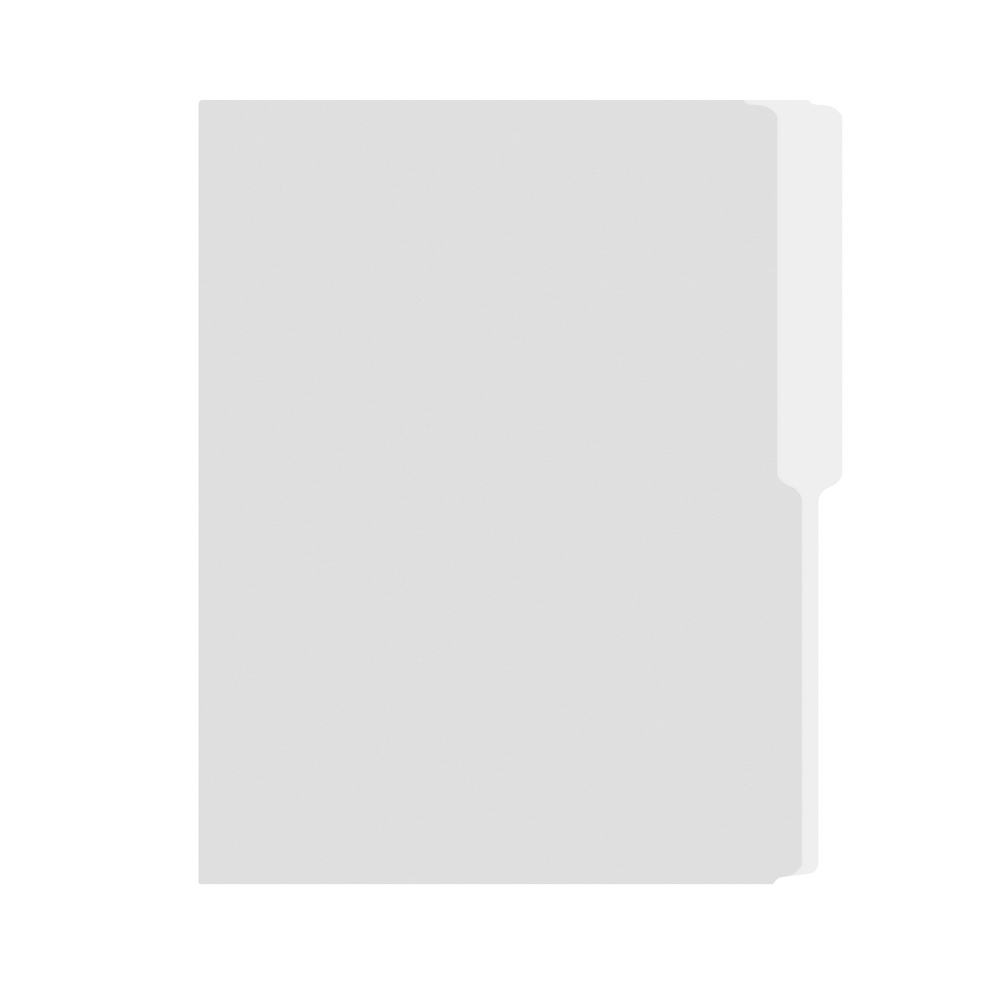 Folder Flashfile Carta Blanco (5X100)