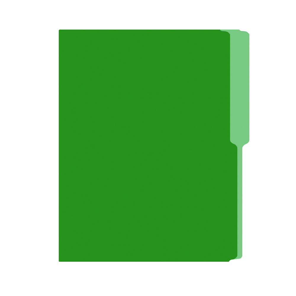 Folder Flashfile Carta Verde (5X100)