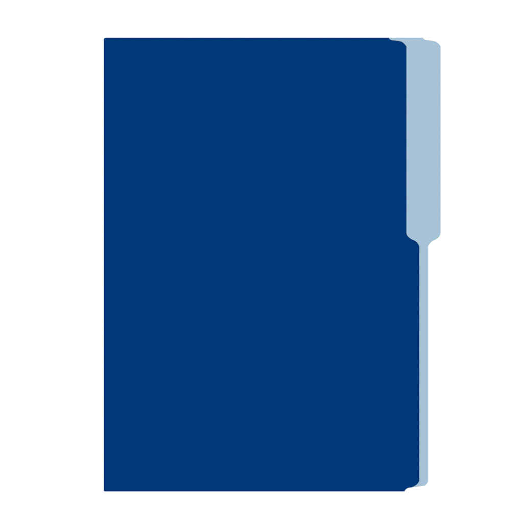 Folder Flashfile Oficio Azul (5X100)