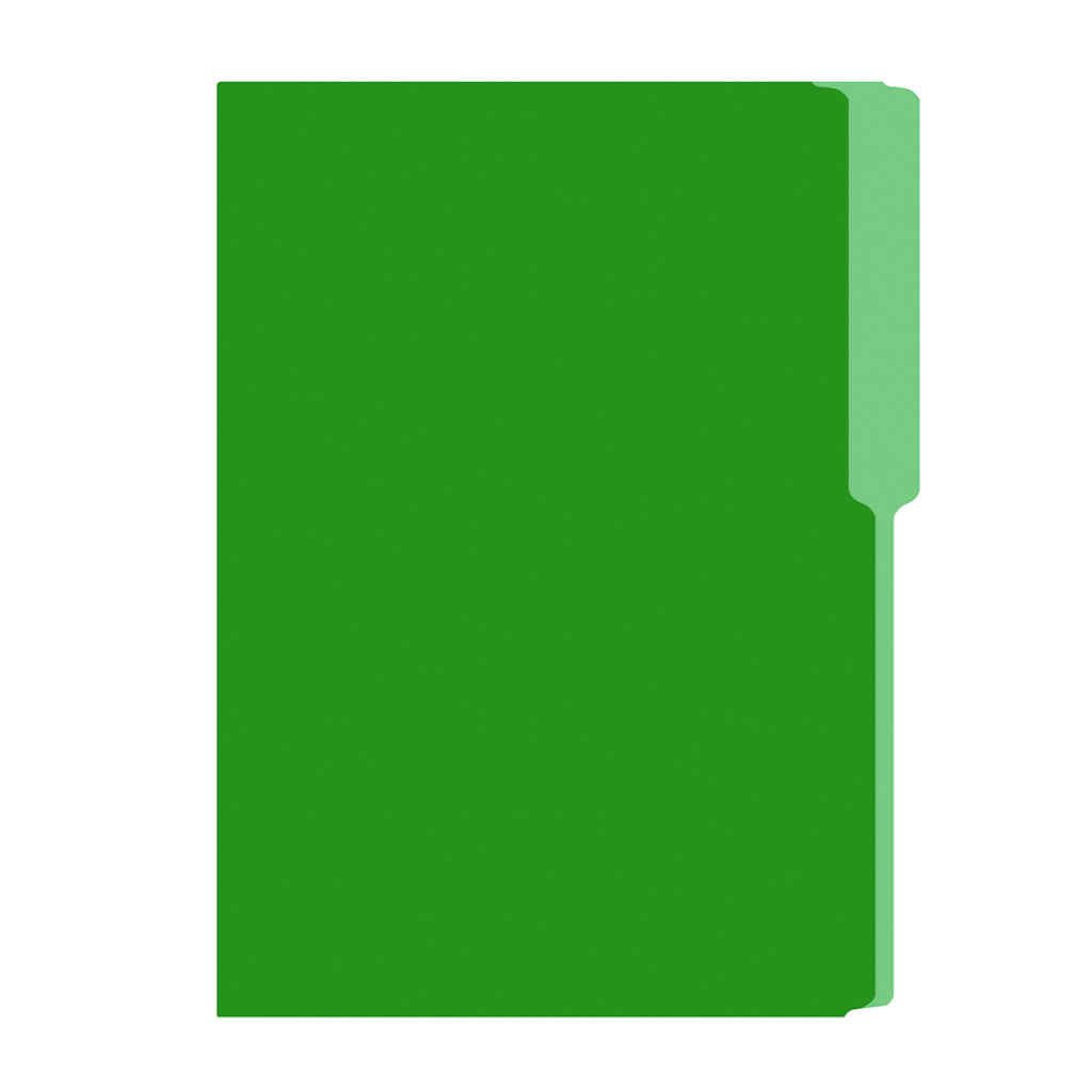 Folder Flashfile Oficio Verde (5X100)