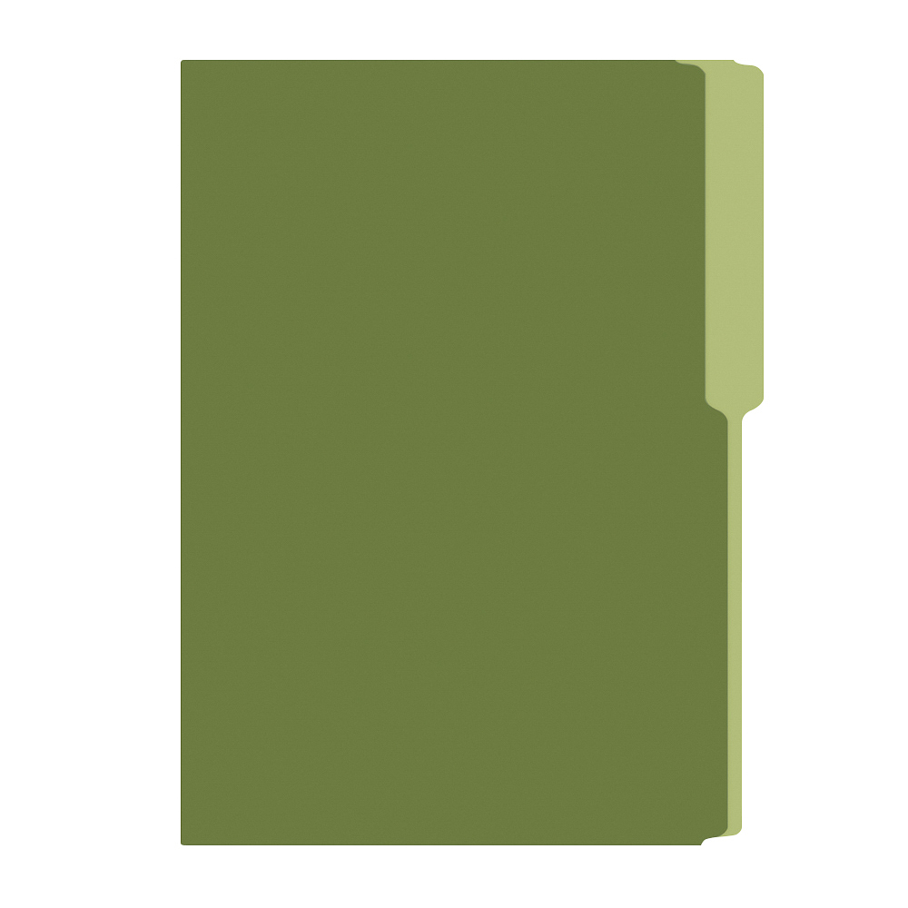 Folder Flashfile Oficio Verde Olivo